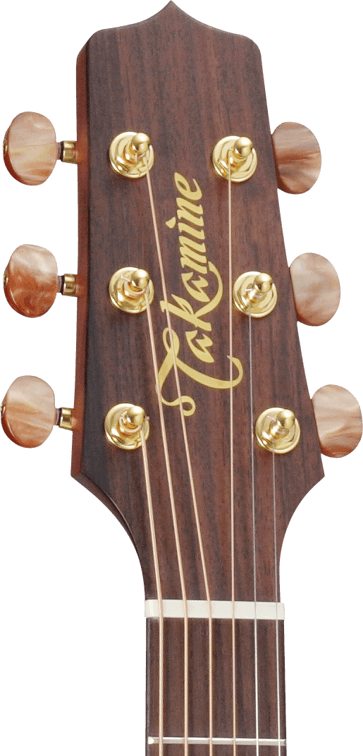 GTV-P3MC-3-B.png | Rythmic